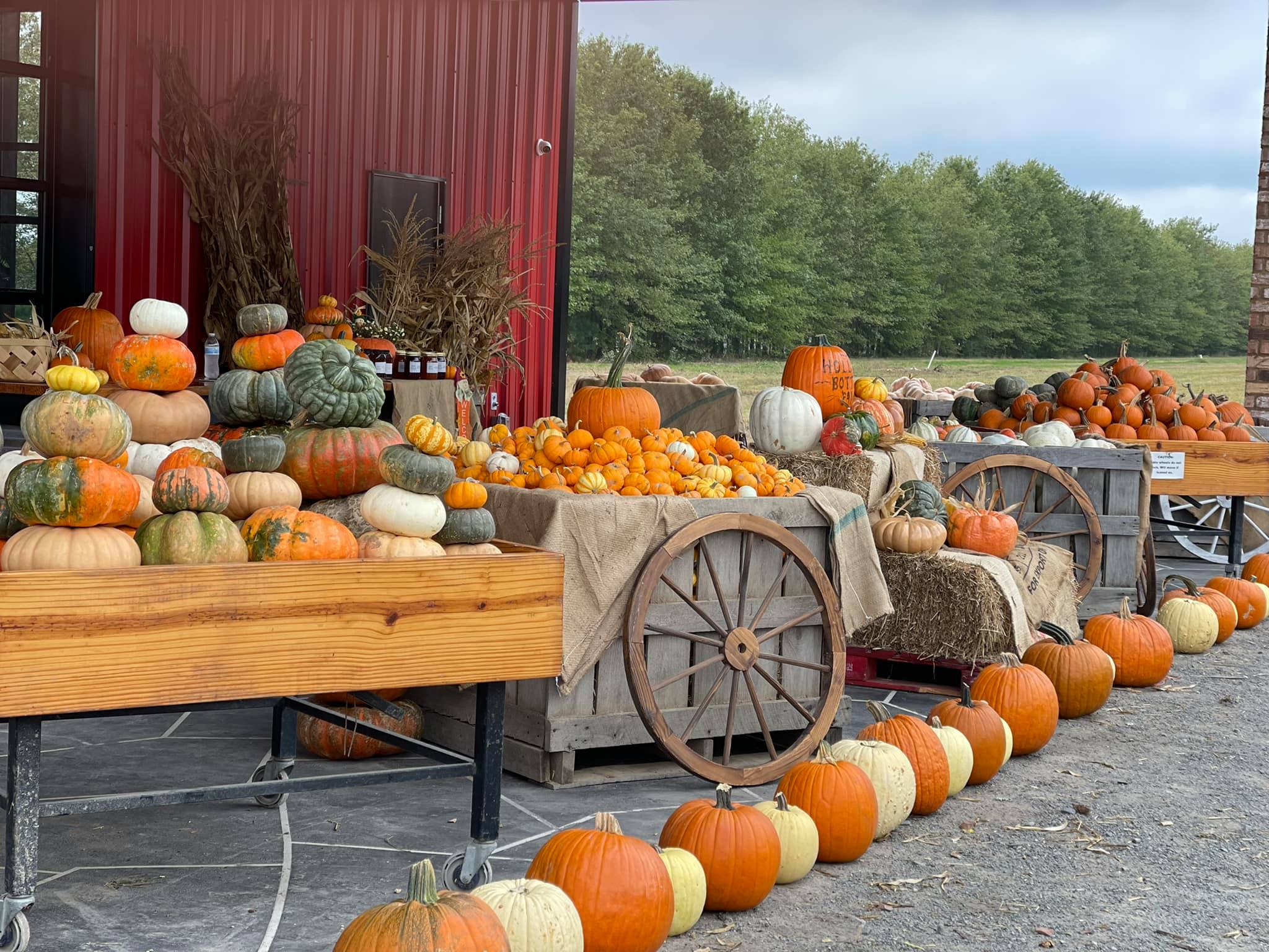 Agritourism-Visit a Farm - Arkansas Grown